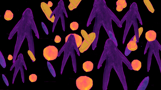 Abstrac-art GIFs - Get the best GIF on GIPHY