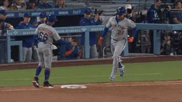 New York Mets GIFs on GIPHY - Be Animated