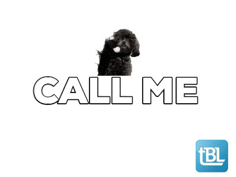 Calling Dog GIFs - Get the best GIF on GIPHY