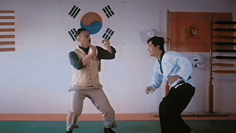 Coup De Pied GIFs - Get the best GIF on GIPHY