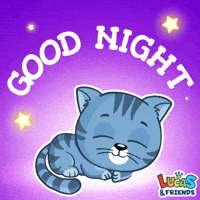 Goodnight Cat Gif