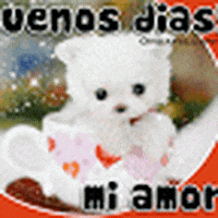 Tarjetas GIFs - Get the best GIF on GIPHY