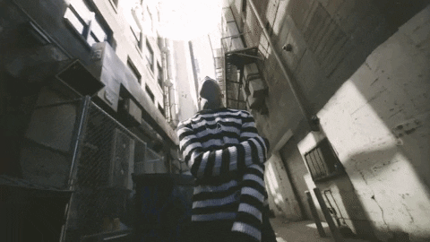 Pardyalone GIFs on GIPHY - Be Animated