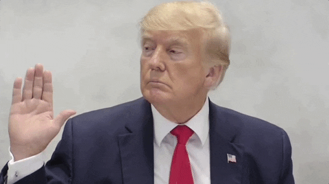 Swearing In Donald Trump GIF by GIPHY News - Find & Share on GIPHY