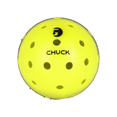 GAMMA Pickleball GIFs on GIPHY - Be Animated