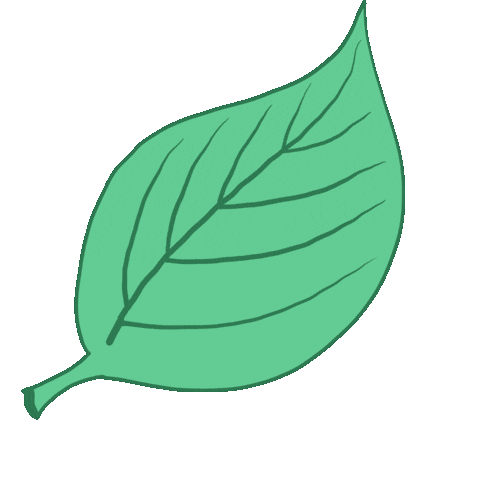 Plant Leaves Sticker for iOS & Android | GIPHY