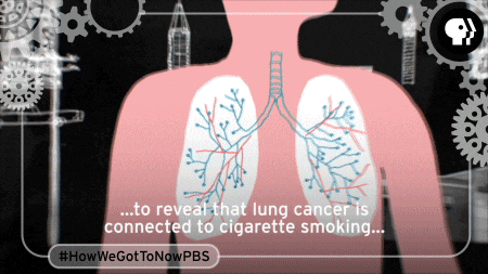 Cigarettes-smoking GIFs - Get the best GIF on GIPHY