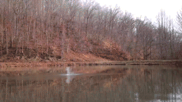 Boom Explosion GIFs - Get the best GIF on GIPHY