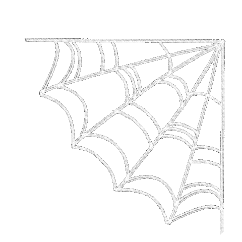 Spider Web Halloween Sticker for iOS & Android | GIPHY