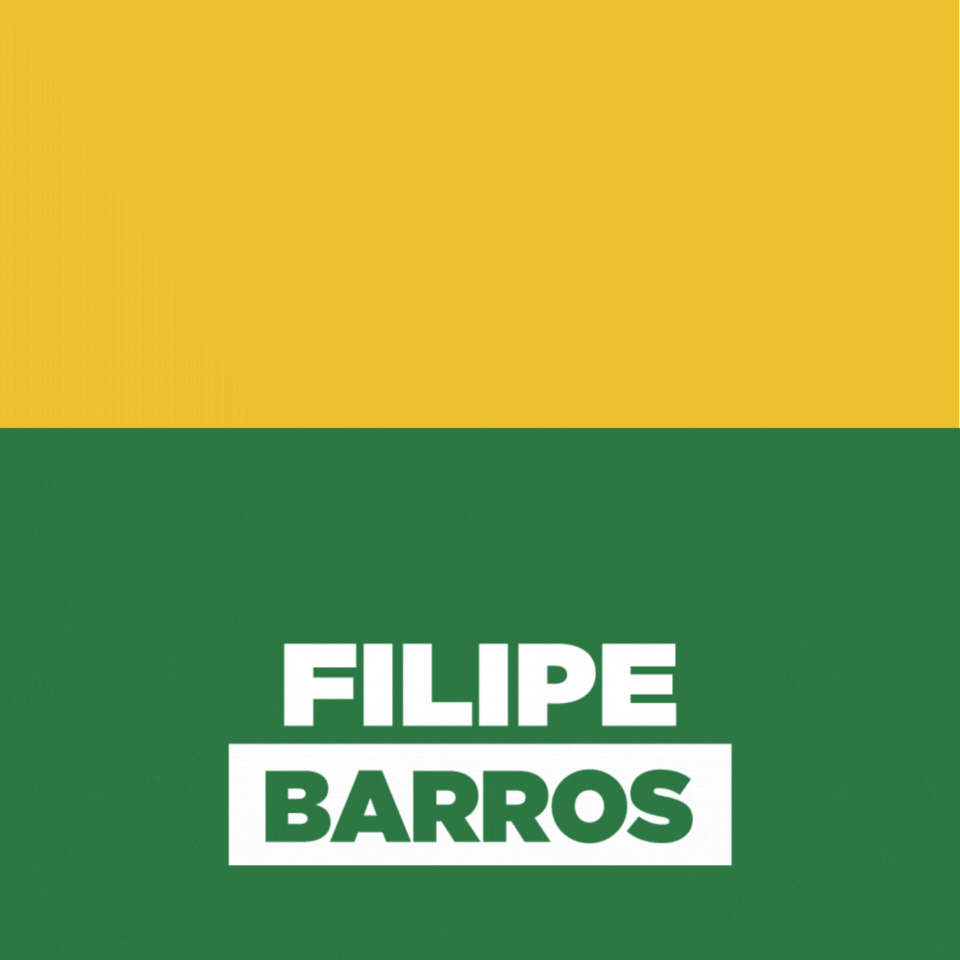 Deputado Filipe Barros GIF - Find & Share on GIPHY