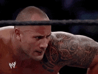 The Rock Smell Gif