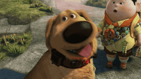 Doug From Up Gif