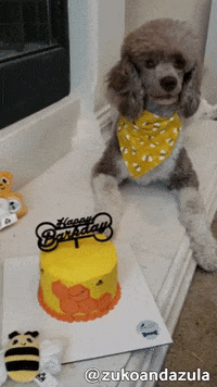 Dog Birthday Cake Gif