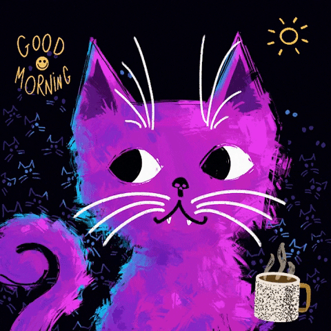 Hyper Cat GIFs - Get the best GIF on GIPHY