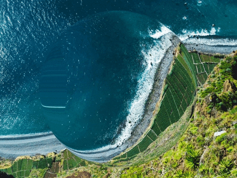 Madeira Wine GIFs - Get the best GIF on GIPHY