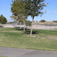 POLL - Hide-and-go-swim: How long was your fish "missing" before it ...