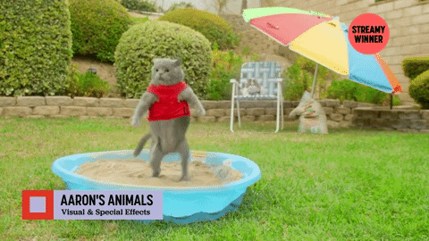 Animated-visuals GIFs - Get the best GIF on GIPHY