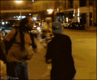 Do A Barrel Roll Animated Gif