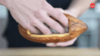 Cacao-pods GIFs - Get the best GIF on GIPHY
