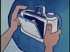 - Find & Share on GIPHY