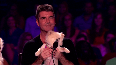 X Factor Dog GIFs - Get the best GIF on GIPHY