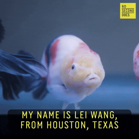 Houston-texas GIFs - Get the best GIF on GIPHY