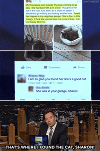 Jimmy Fallon So Good Gif