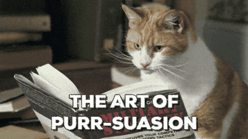 Top 10 Cat Pun GIFs GIFs on GIPHY - Be Animated