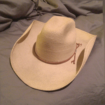Cowboy Hat GIFs - Find & Share on GIPHY