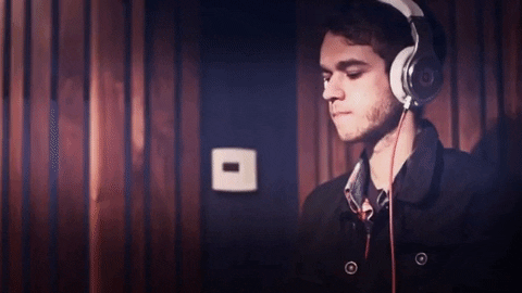 Zedd GIF - Find & Share on GIPHY