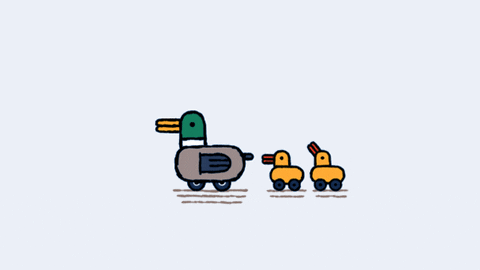 Duckling Animated Gif