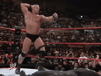 Stone Cold Stunner Gif