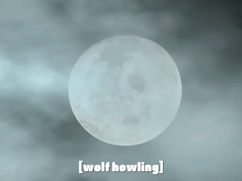 Werewolf Howl Gif
