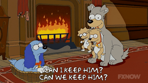 Can-we-keep-him GIFs - Get the best GIF on GIPHY