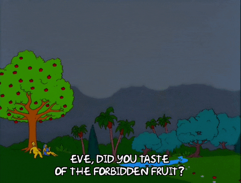 Forbidden-fruit GIFs - Get the best GIF on GIPHY