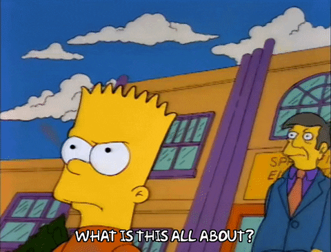 Prinicipal Skinner GIFs - Get the best GIF on GIPHY