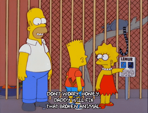 Fix-hat GIFs - Get the best GIF on GIPHY