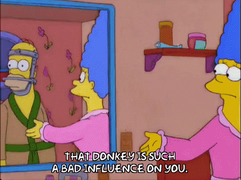 Local Man Ruins Everything GIFs - Get the best GIF on GIPHY