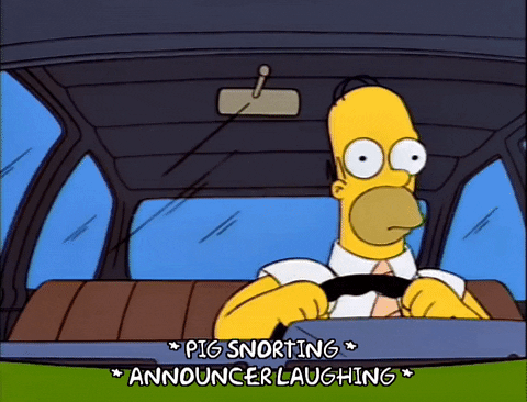 Pig-snort GIFs - Get the best GIF on GIPHY