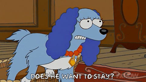 Dog Crying GIFs - Get the best GIF on GIPHY