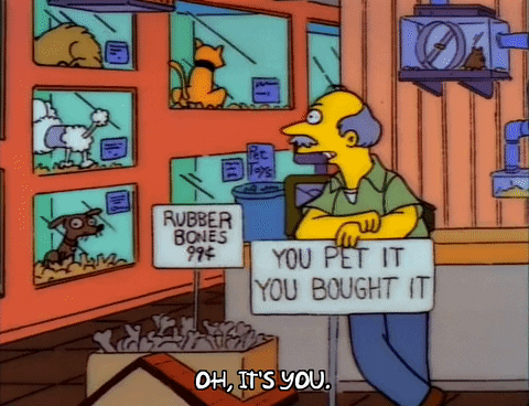 Pet Store GIFs - Get the best GIF on GIPHY