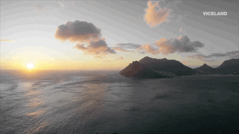 Time Lapse Water GIF by Black Market - Find & Share on GIPHY
