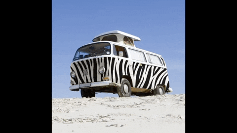 Vw Combi GIFs - Get the best GIF on GIPHY