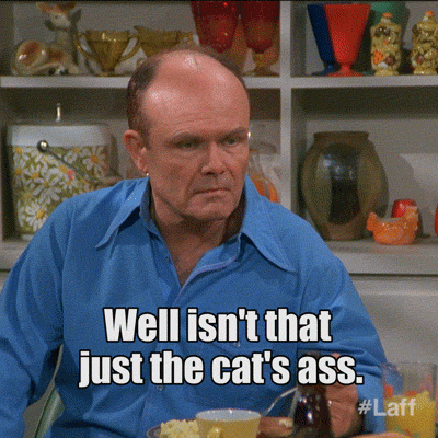 Red-angry-cat GIFs - Get the best GIF on GIPHY