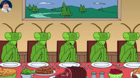 Prayingmantis GIFs - Get the best GIF on GIPHY