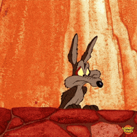 Wild About Wile E. by Looney Tunes | GIPHY