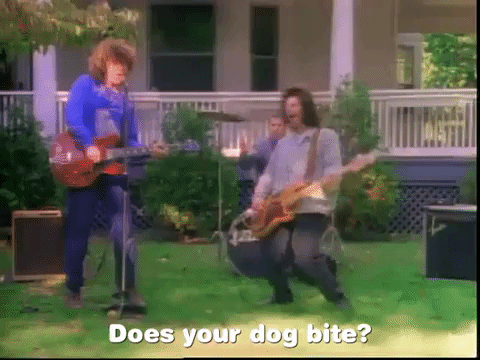 Biting Dog GIFs - Get the best GIF on GIPHY