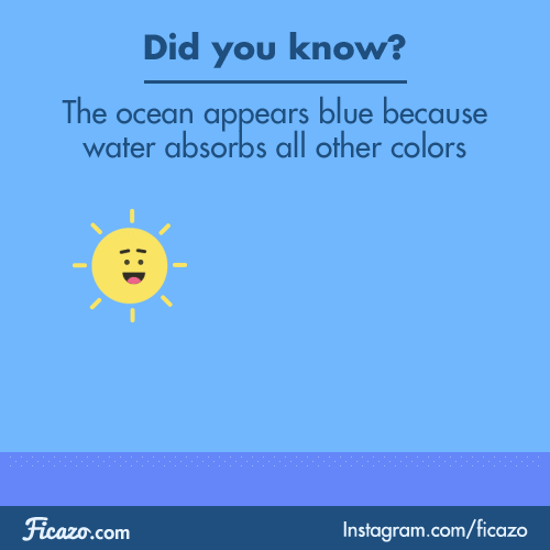 Blueocean GIFs - Get the best GIF on GIPHY