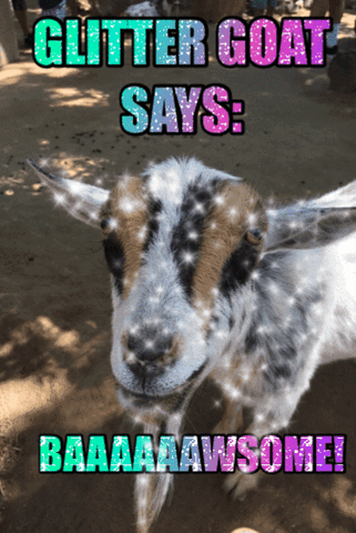 Glittergoat GIFs - Get the best GIF on GIPHY