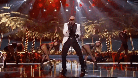 Pitbul GIFs - Get the best GIF on GIPHY